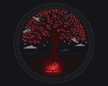 What Is NSB? An Intro to Your Soon-to-Be Favorite Bot!