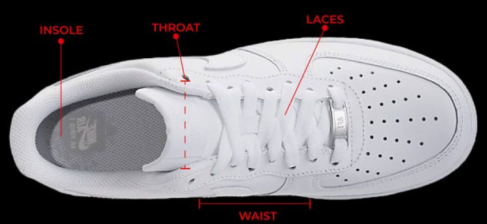 Sneaker Anatomy - The Definitions That Everyone Should Know!