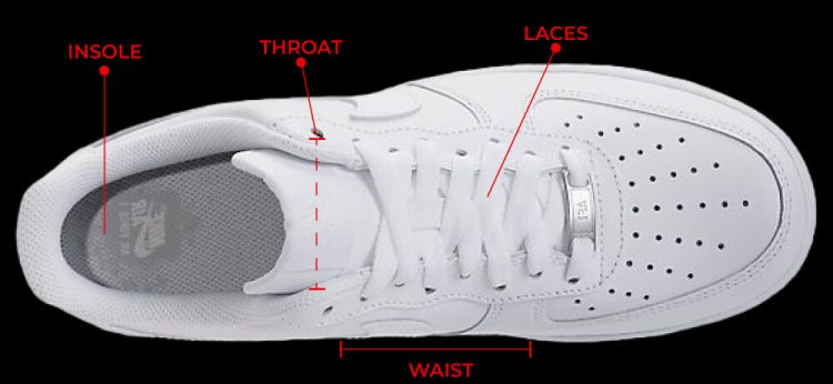 Sneaker Anatomy - The Definitions That Everyone Should Know!